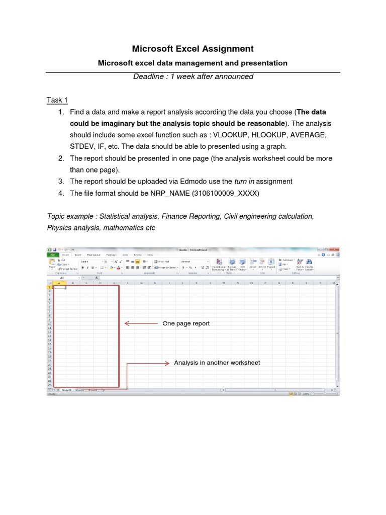 Microsoft Excel Assignment | PDF | Technology & Engineering