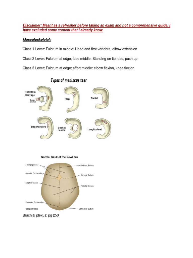 Boards Study Guide | PDF | Balance (Ability) | Heart