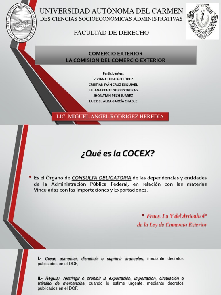 La Comisión de Comercio Exterior (COCEX): su función y operación en ...