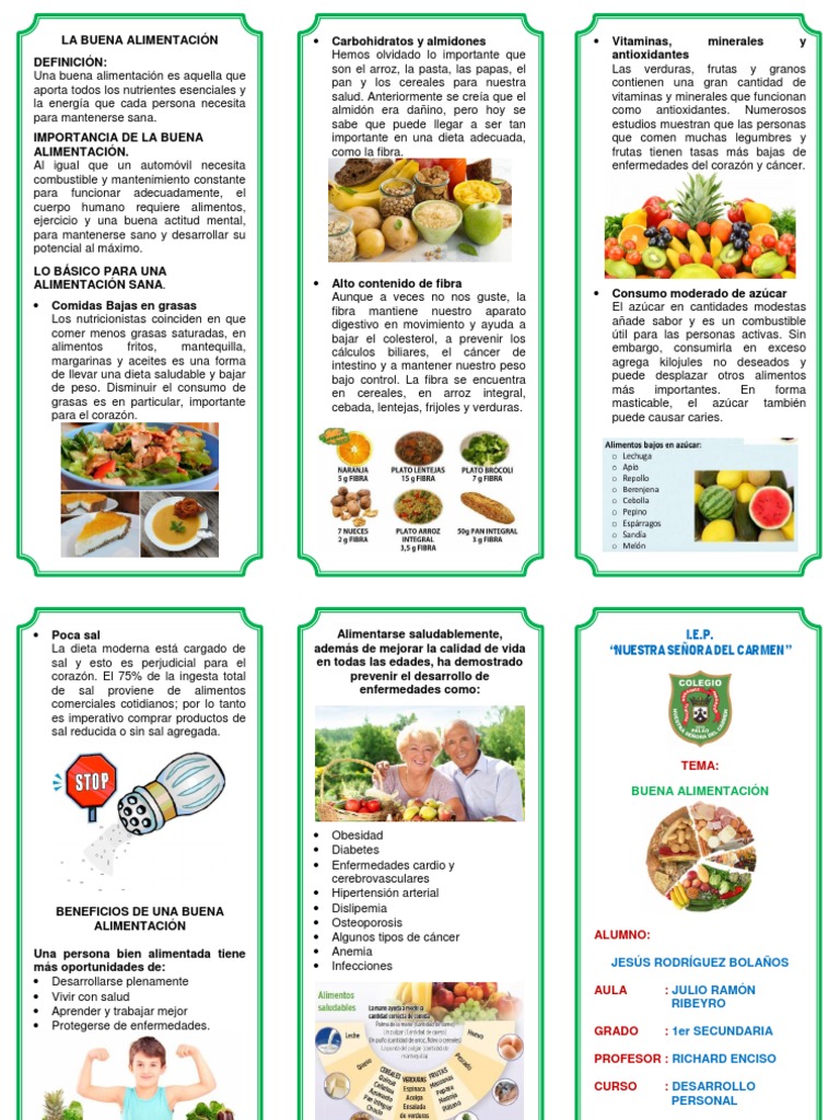 Triptico Buena Alimentacion | Fibra dietética | Nutrición