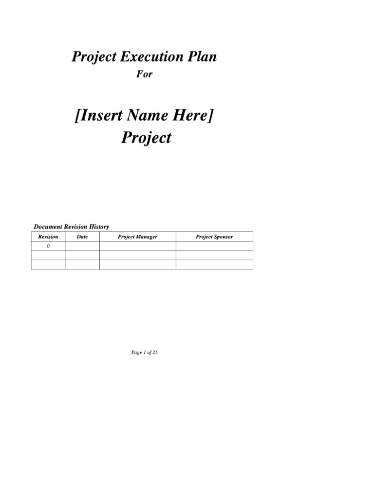 Project Execution Plan | PDF
