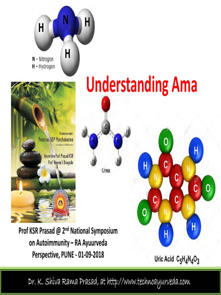 Understanding Ama Understanding Ama | PDF | Gut Flora ...