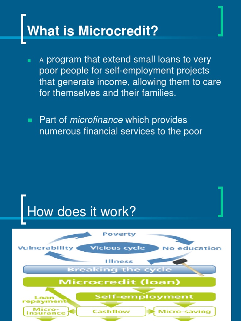 Micro Credit | PDF | Microcredit | Grameen Bank