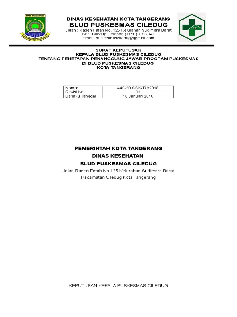 06 SK Penetapan PJ Program Puskesmas | PDF