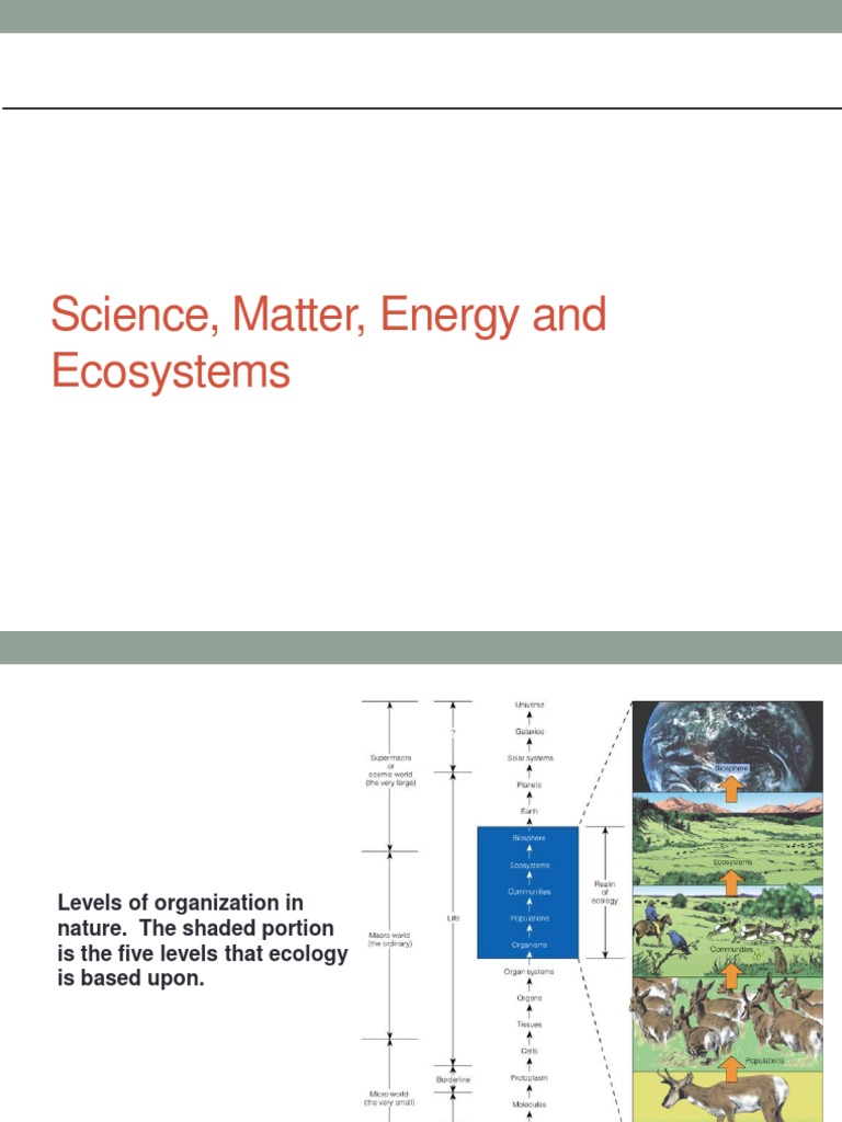 Science, Matter, Energy and Ecosystems | PDF | Food Web | Ecosystem