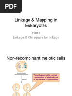 3 Hemodialysis Nursing Care Plans - Nurseslabs | PDF | Hemodialysis | Dialysis