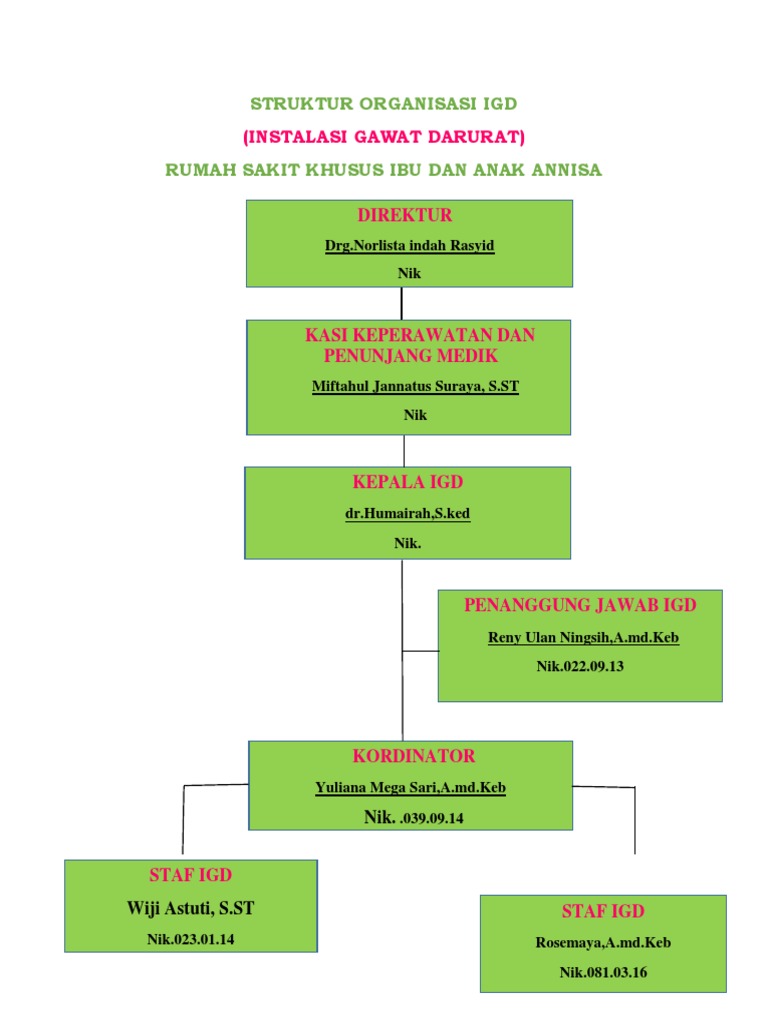 Struktur Organisasi Igd | PDF