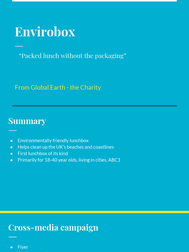 Envirobox Pitch - Revised | PDF | Art