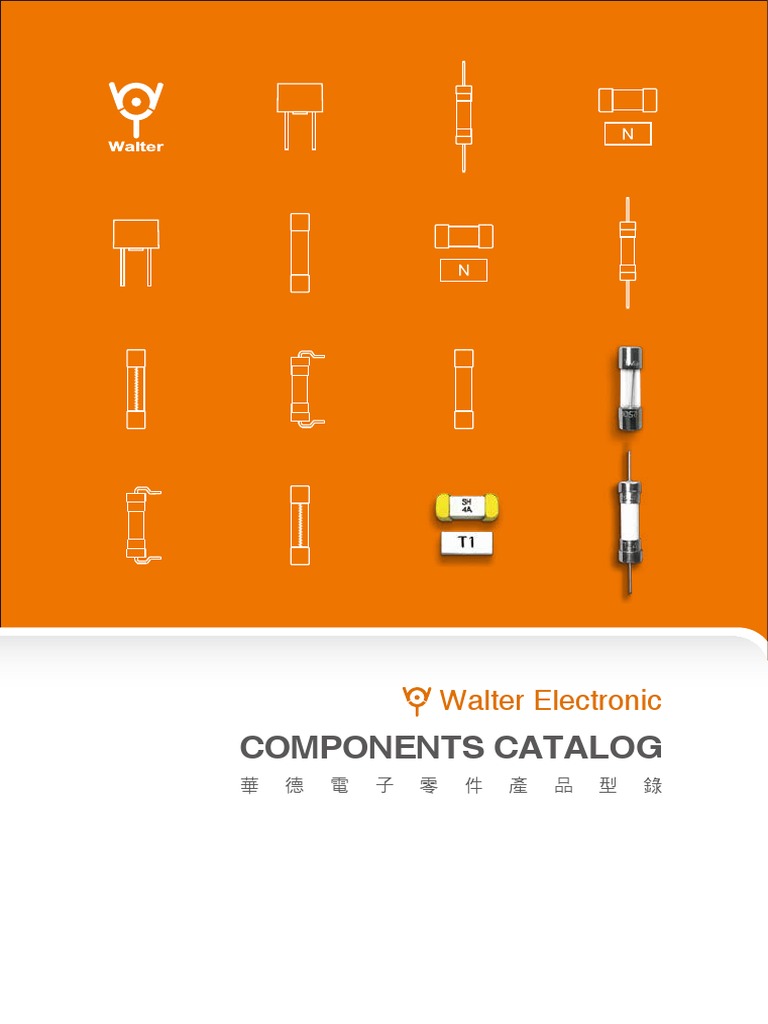 Components Catalog: Walter Electronic | Download Free PDF | Fuse ...