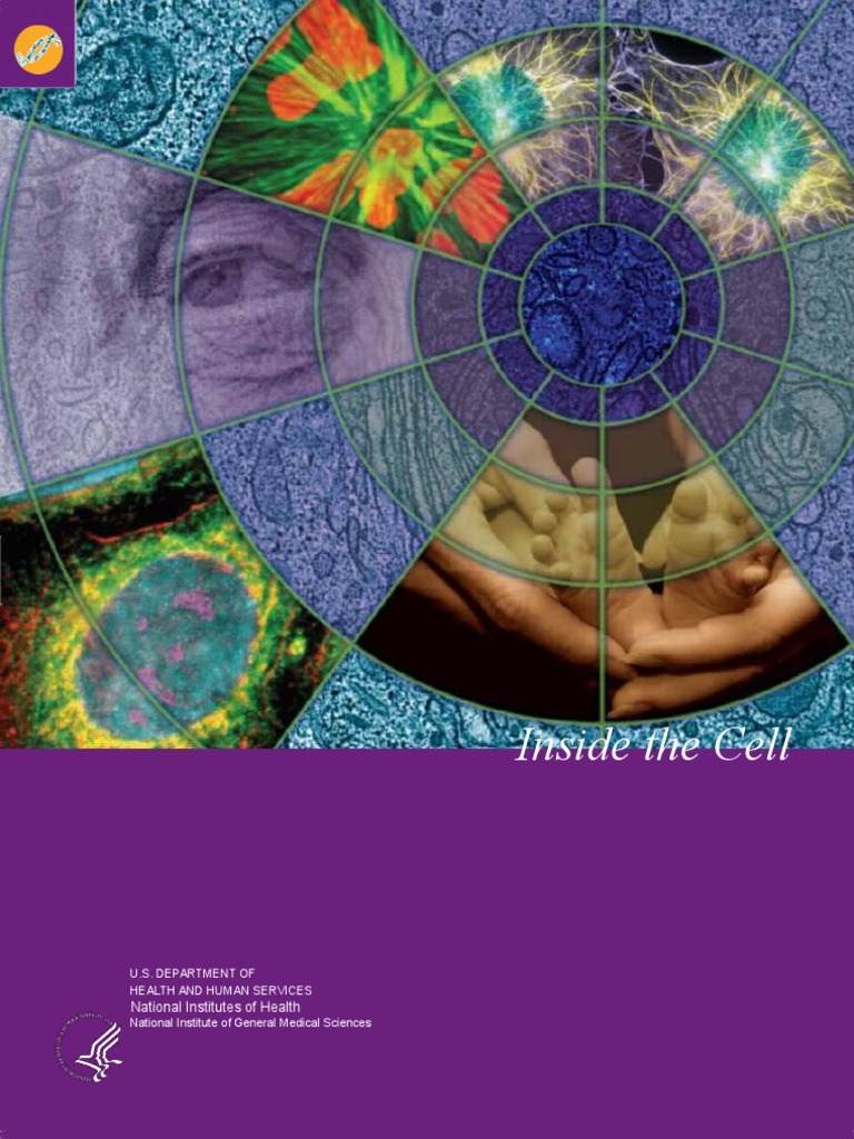 Inside The Cell | PDF | Endoplasmic Reticulum | Cell Nucleus