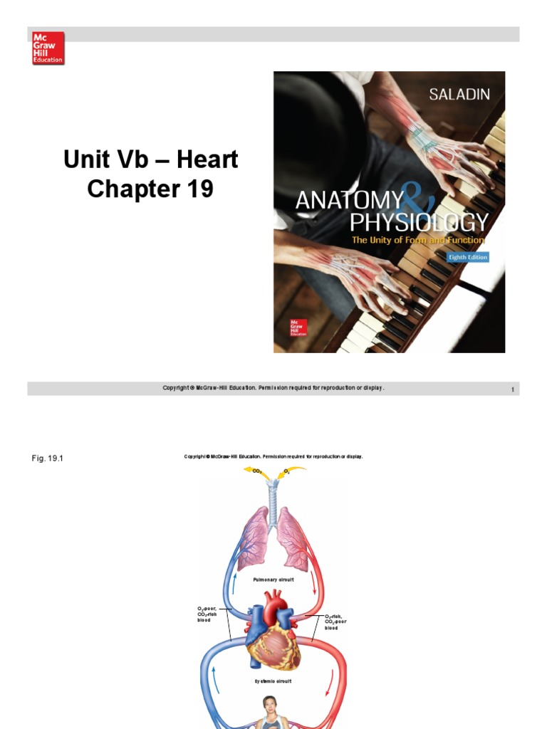 Unit VB - Heart | PDF | Heart Valve | Coronary Circulation