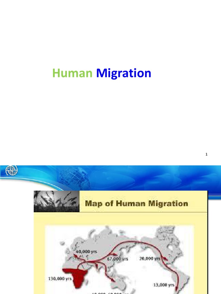 International Organization For Migration: Human | PDF | Human Migration ...