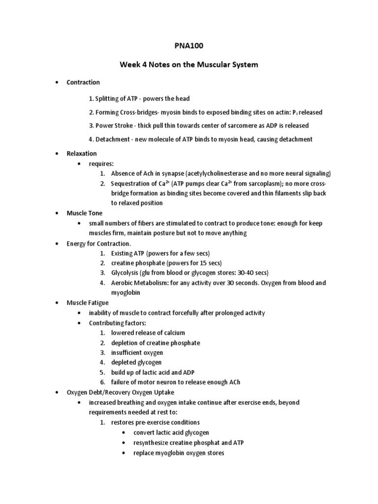 Concept Map Template | Download Free PDF | Musculoskeletal System ...