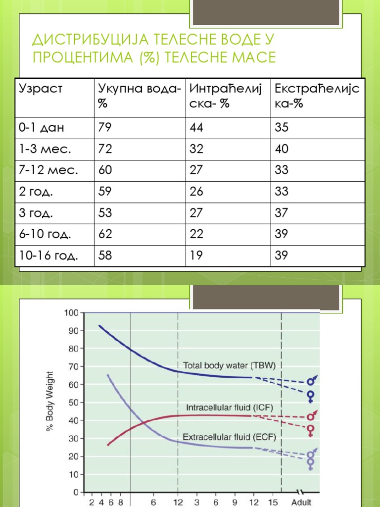 Metabolizam Vode I Elektrolita 2. Nedelja | PDF
