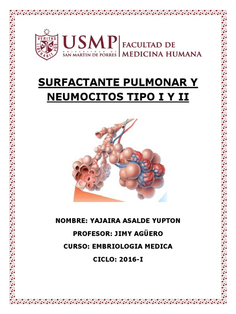 Surfactante Pulmonar y Neumocitos Tipo i y II | Pulmón | Lípido