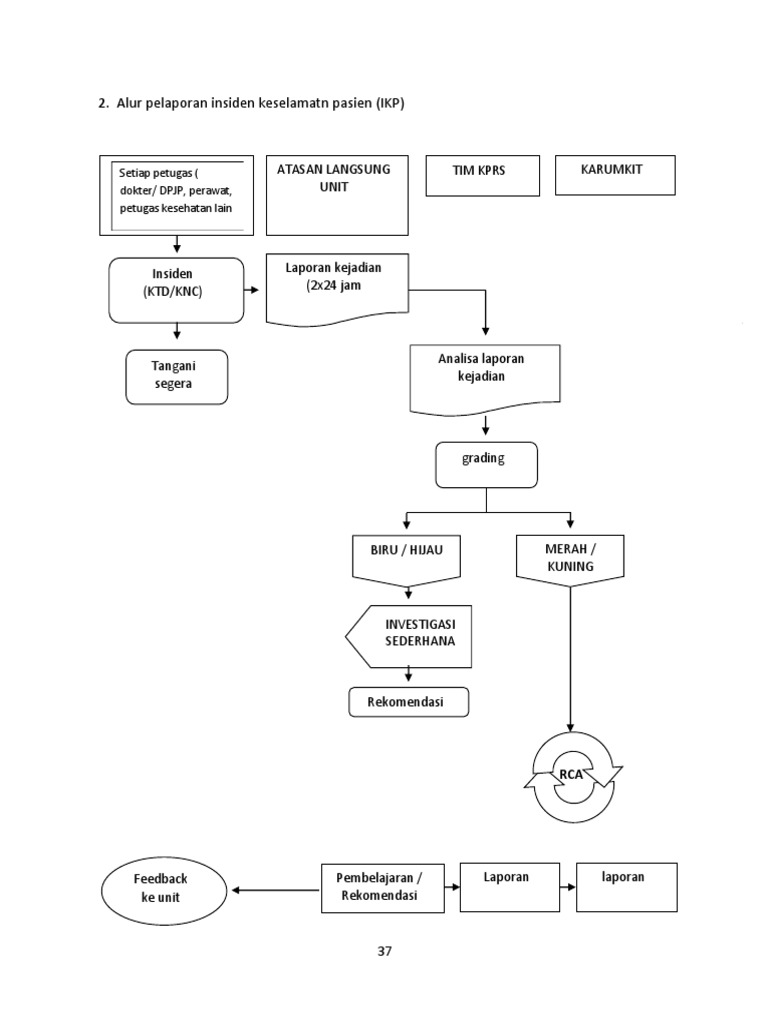 Alur Pelaporan Ikp | PDF