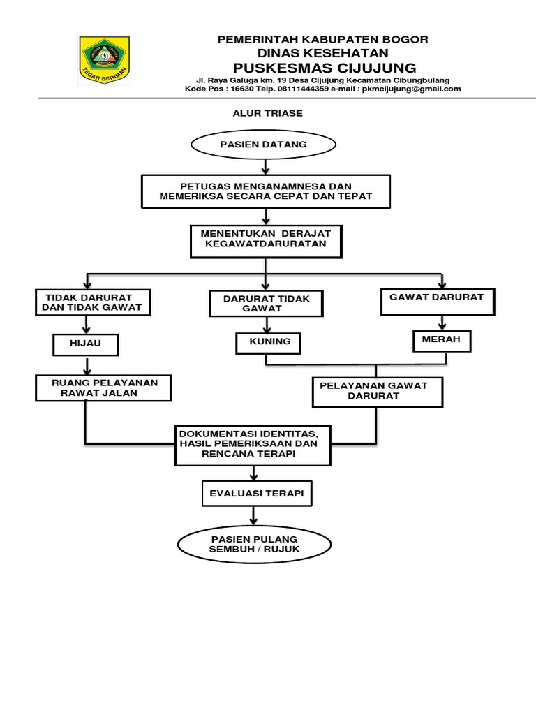 Alur Triase Pelayanan Kesehatan Darurat | PDF