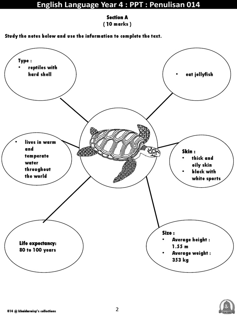 Writing 014 Year 4 2018 | PDF