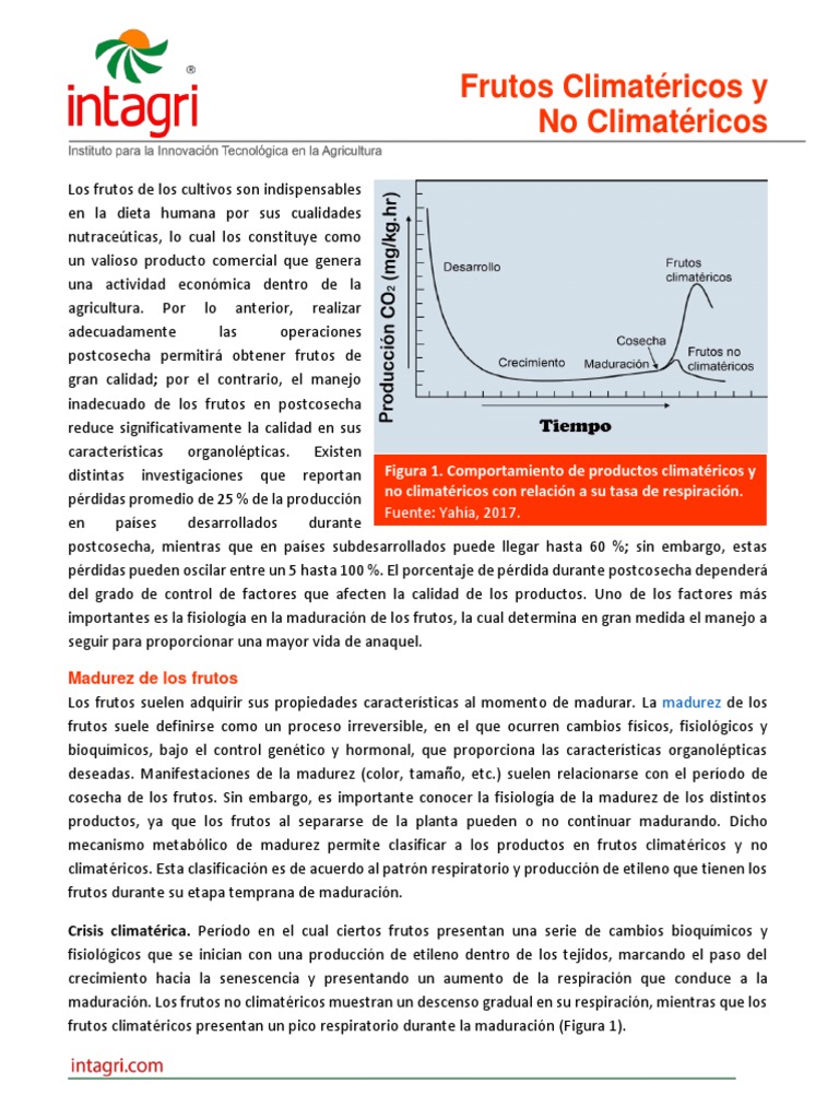 14. Frutos Climatericos y No Climatericos | Frutas comestibles | Fruta
