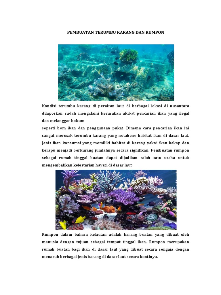 Pembuatan Terumbu Karang Dan Rumpon | PDF
