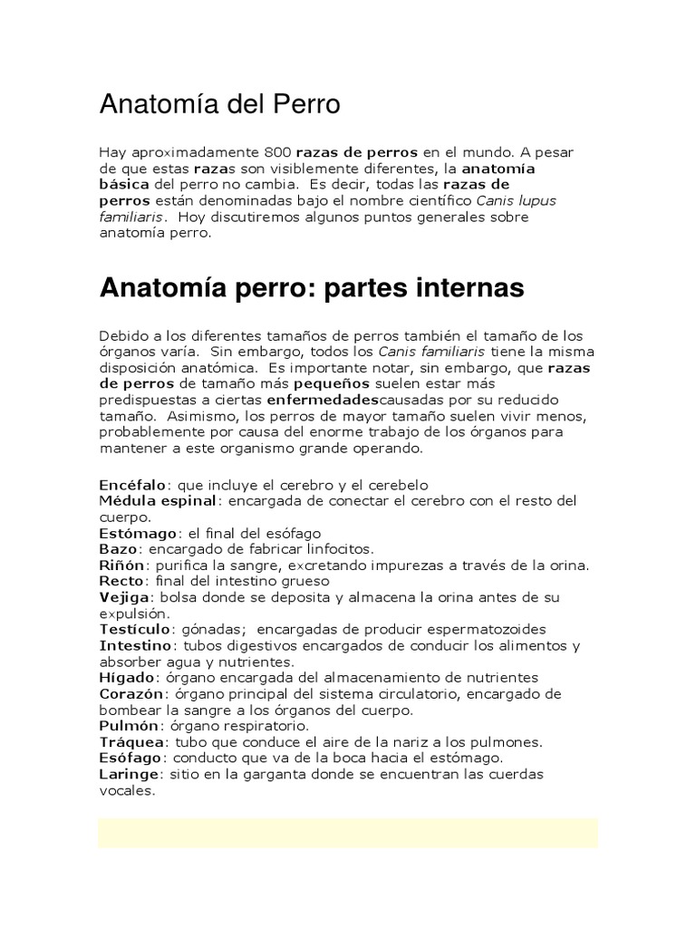Anatomía Del Perro | PDF | Perros | Parto