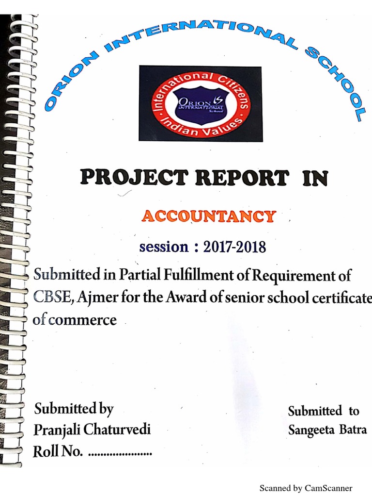 Class 12 Accountancy Project Guide | PDF
