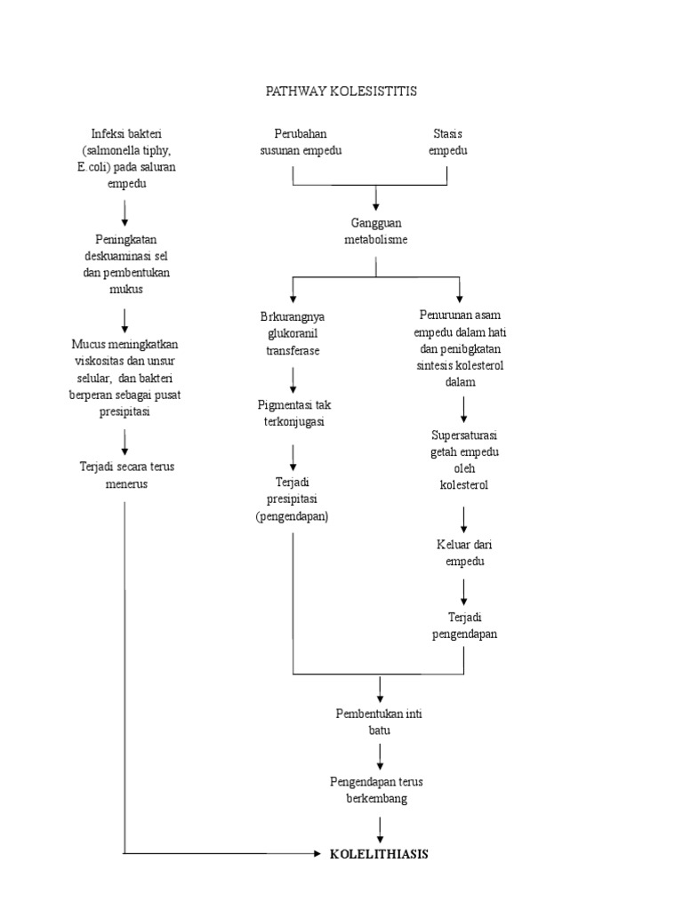 Pathway Kolesistisis