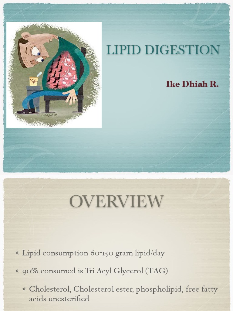 Lipid Digestion Process | PDF | Digestion | Cholesterol