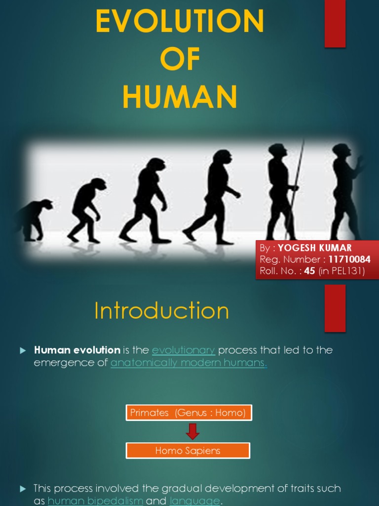 EVOLUTION of Human | PDF | Homo | Ape