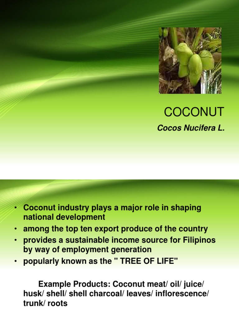 COCONUT Lecture | PDF | Coconut | Agriculture