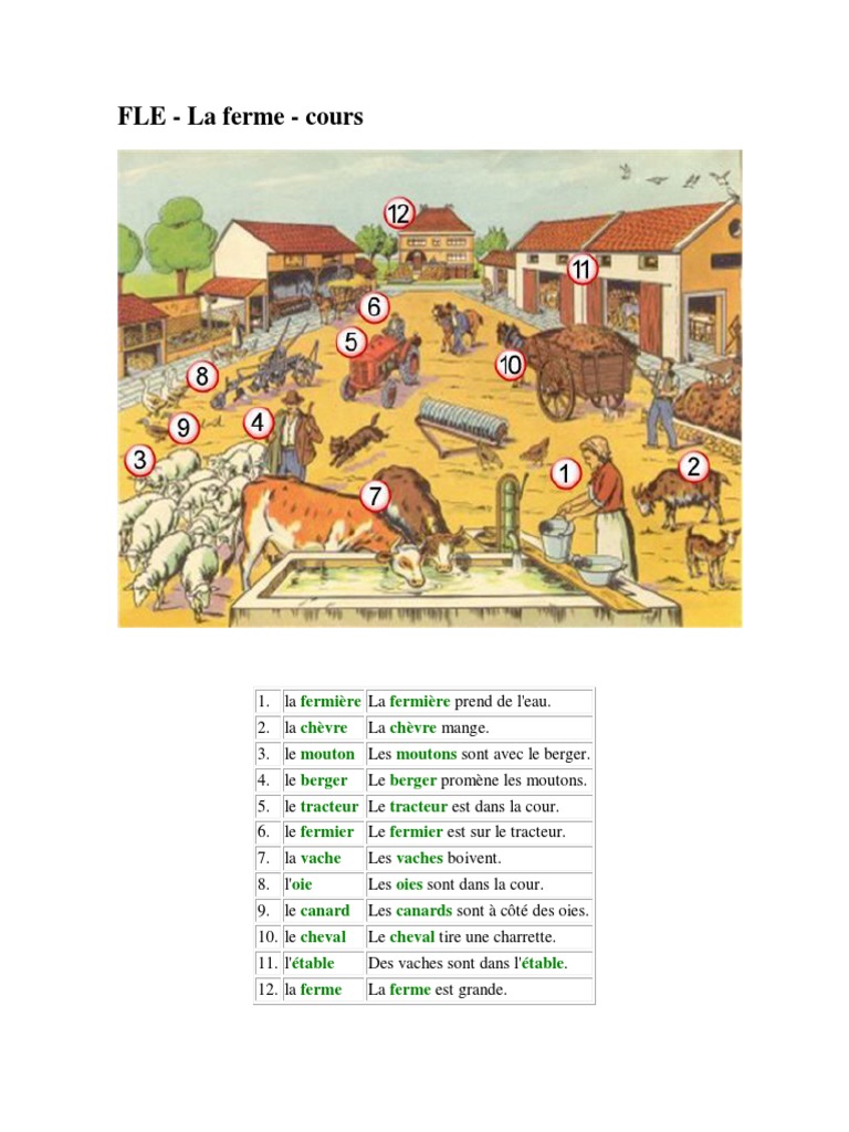 Activités et animaux de la ferme | PDF | Livres de cuisine, nourriture ...
