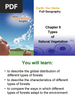 Rainforest Layers for Year 3 Students | PDF | Rainforest | Canopy (Biology)