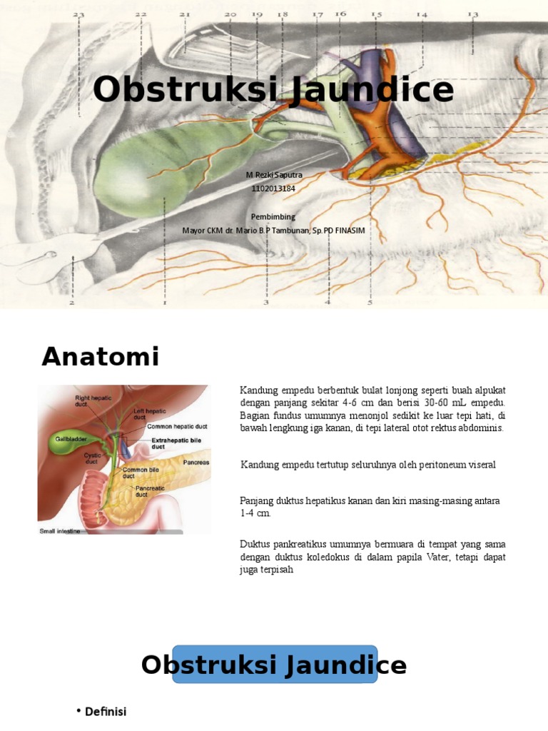 Obstruksi Jaundice | PDF