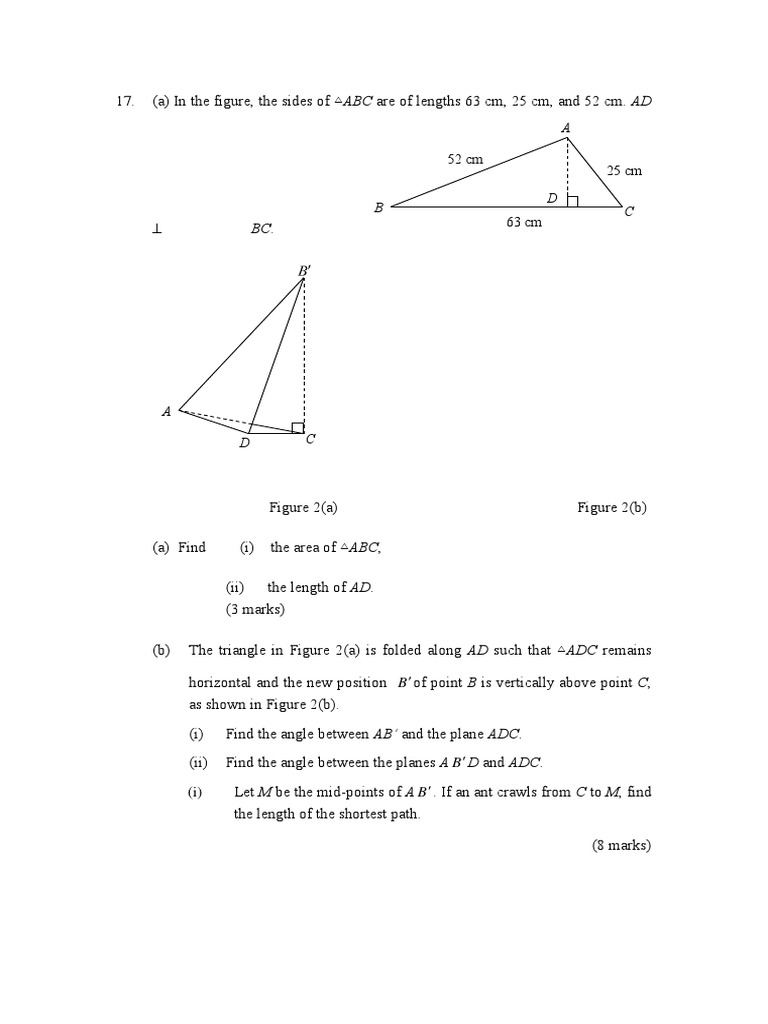3D Trigo | PDF
