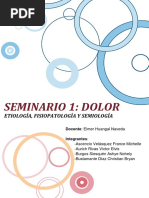 Fisiopatología de la adicción | PDF | Sinapsis | Dopamina