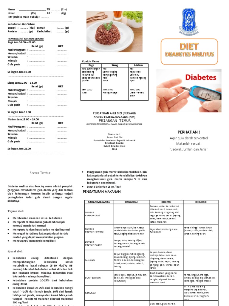 Brosur Diet DM Persagi | PDF