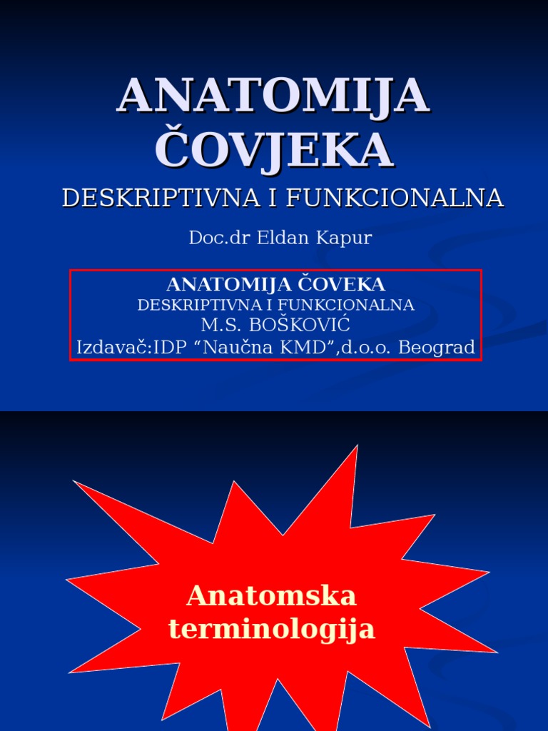 1.uvod U Anatomiju Čovjeka | PDF