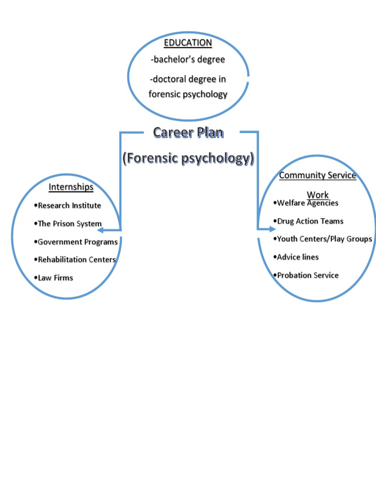 Career Plan | PDF