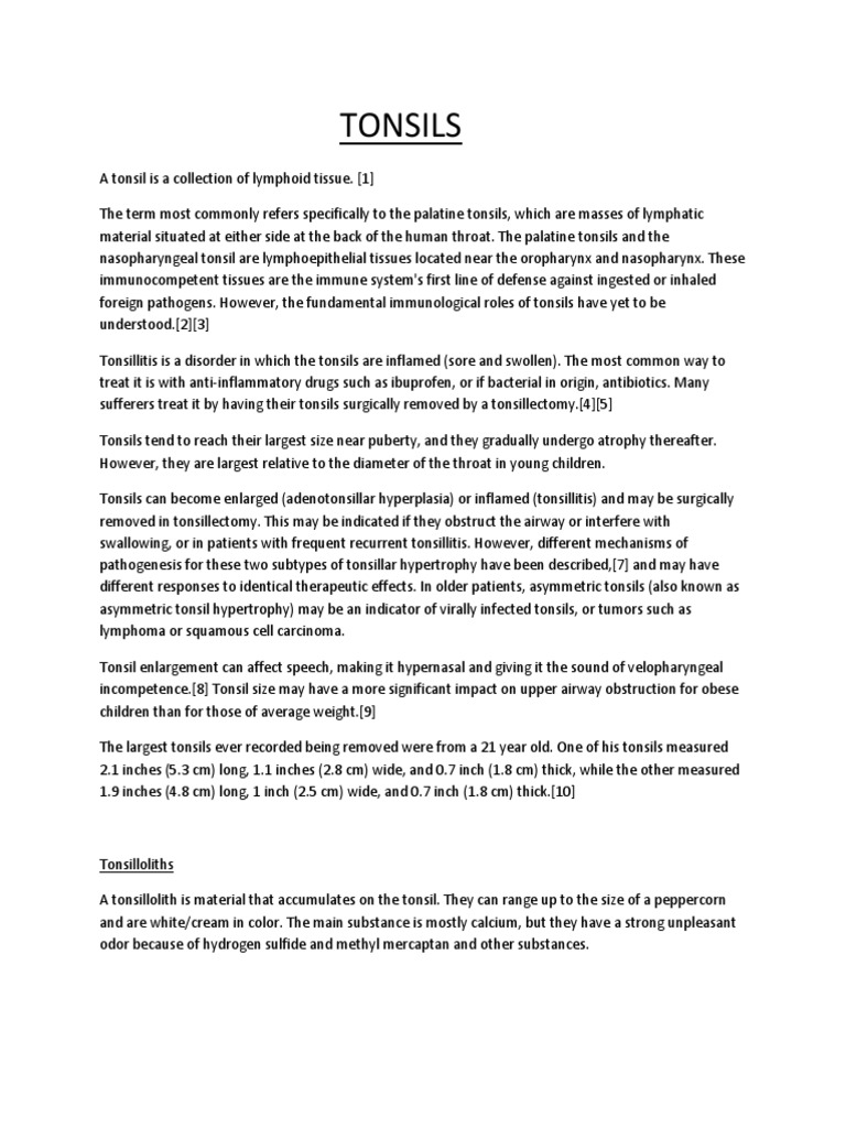 Tonsils | PDF | Anatomy | Animal Anatomy