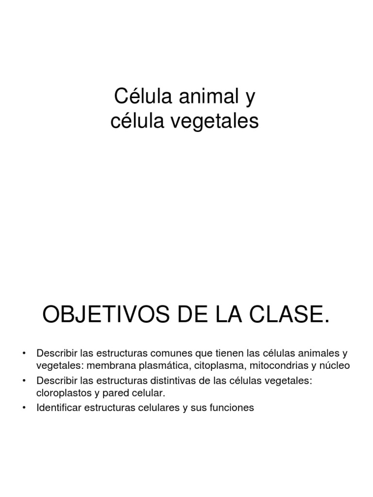 Comparación de las estructuras y funciones de las células animales y ...