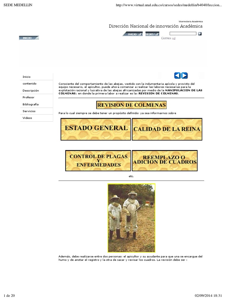 Manipulacion De Las Colmenas Pdf Colmena Western Honey Bee