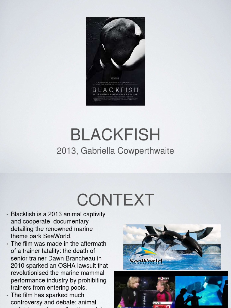 Blackfish: SeaWorld's Orca Controversy | PDF | Sea World