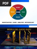 ICAM Hand Book | PDF