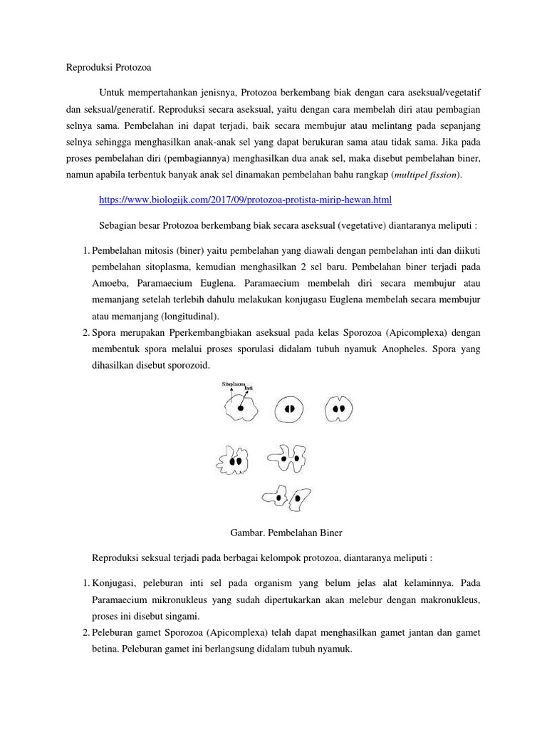 Reproduksi Aseksual dan Seksual Protozoa | PDF | Kesehatan Holistik ...