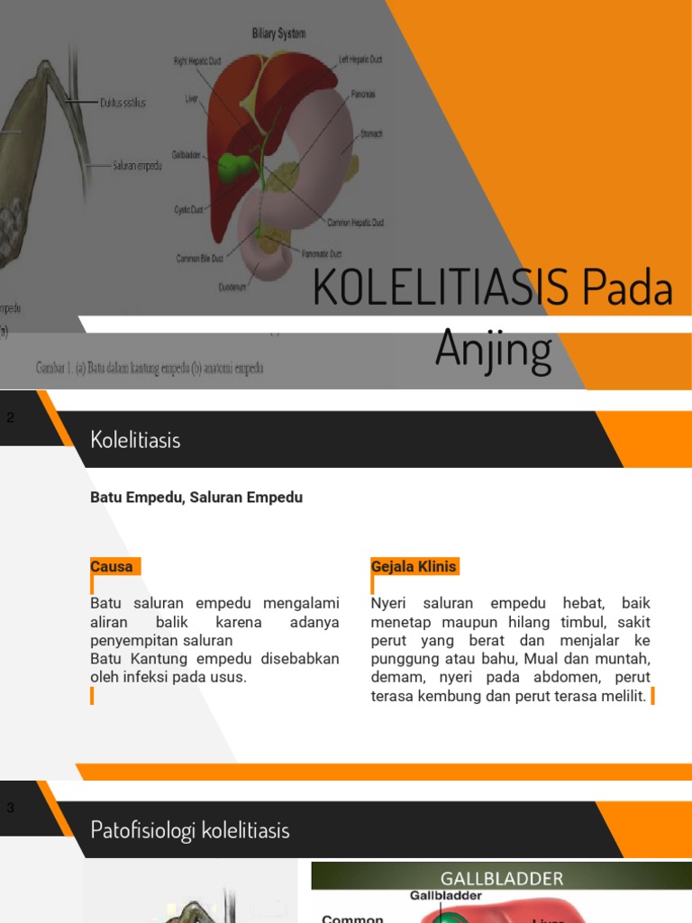 Kolelitiasis | PDF