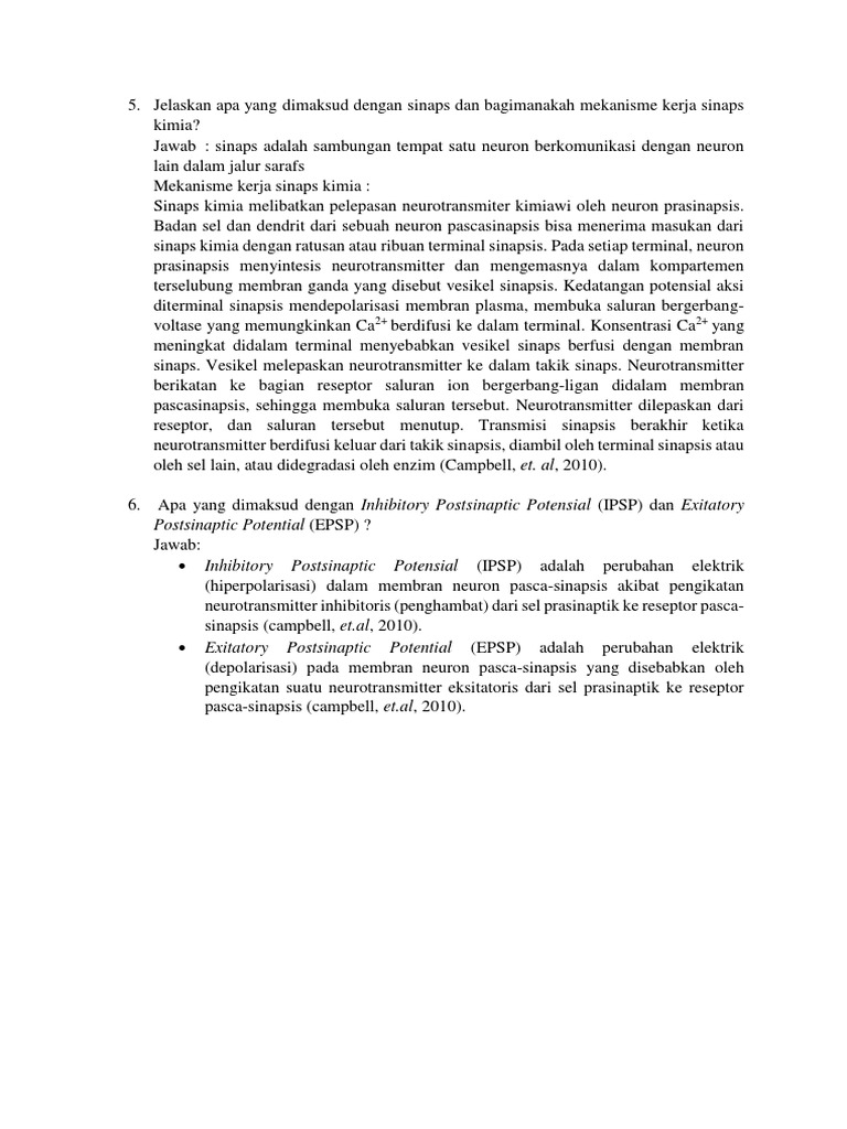 Mekanisme Kerja Sinapsis Kimia | PDF
