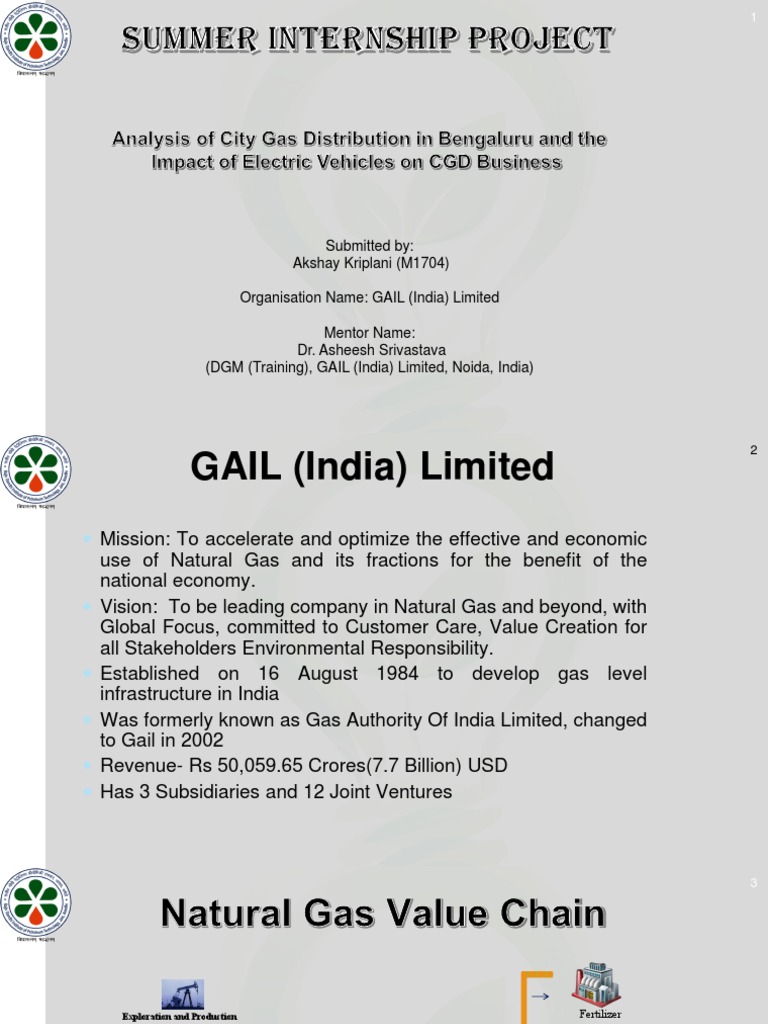 Summer Internship Project Presentation | PDF | Natural Gas | Chemical ...