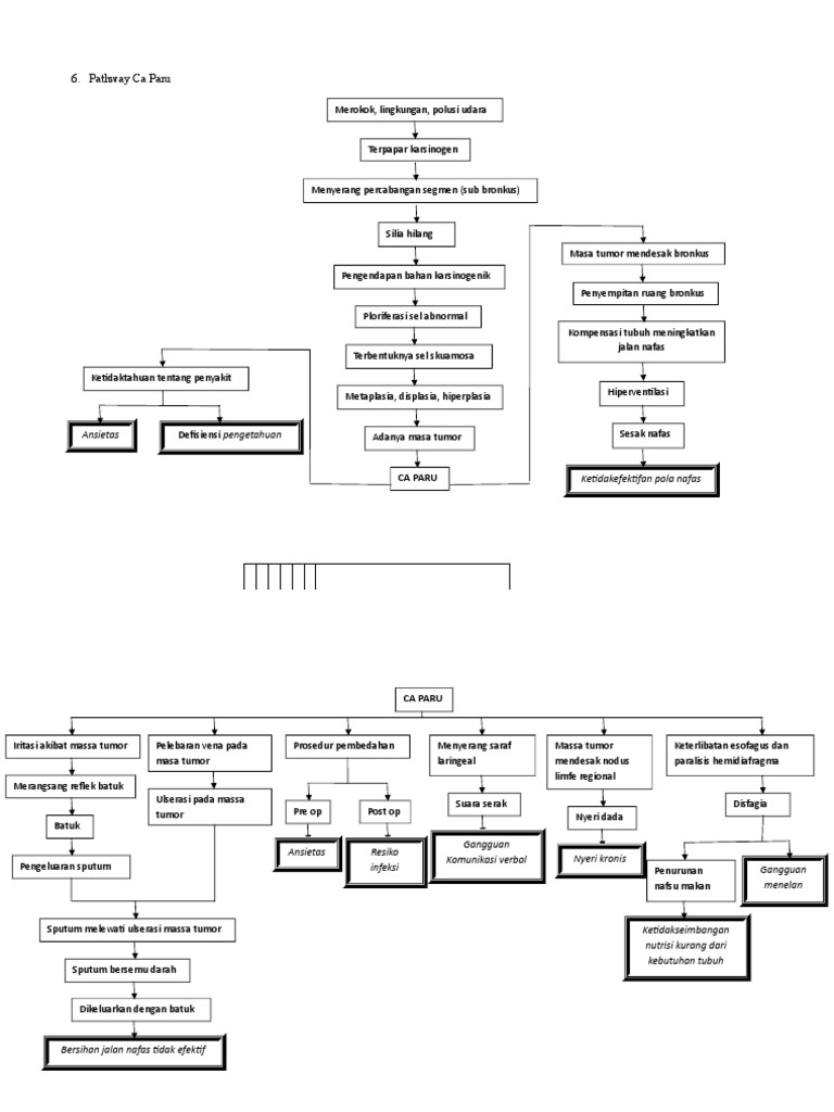 Pathway Kanker Paru | PDF