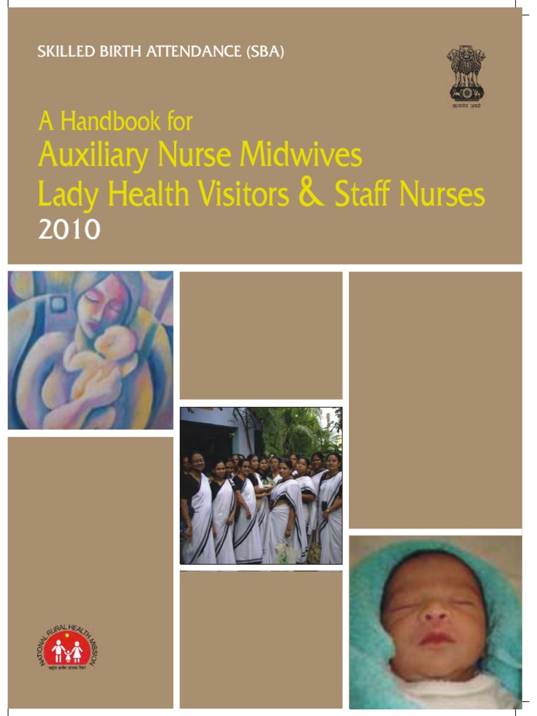 SBA Handbook For SN ANM PDF | PDF | Postpartum Period | Childbirth