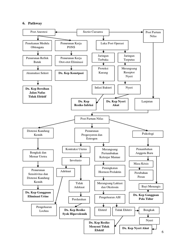 Pathway Post Op - SC | PDF